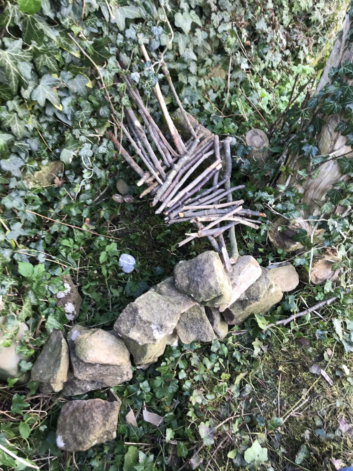 The Best of the Mini Dens - Thornbridge Outdoors