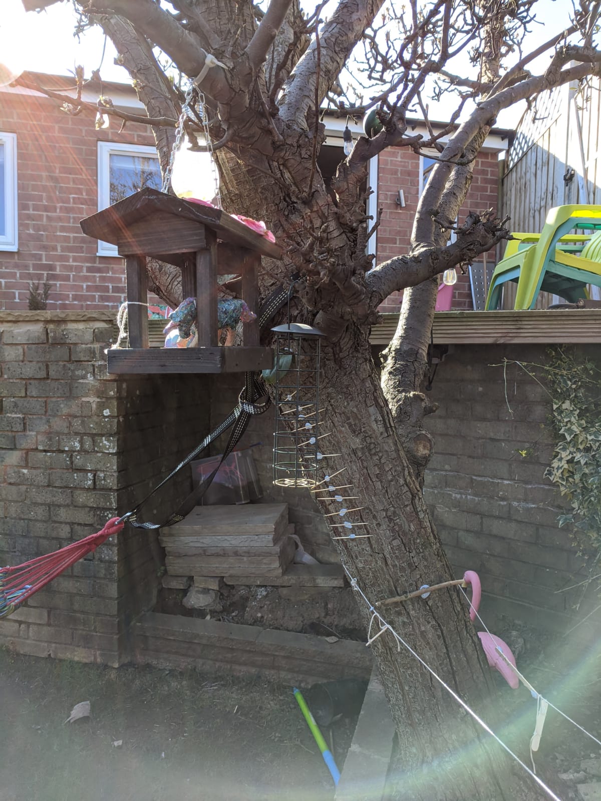 The Best of the Mini Dens - Thornbridge Outdoors