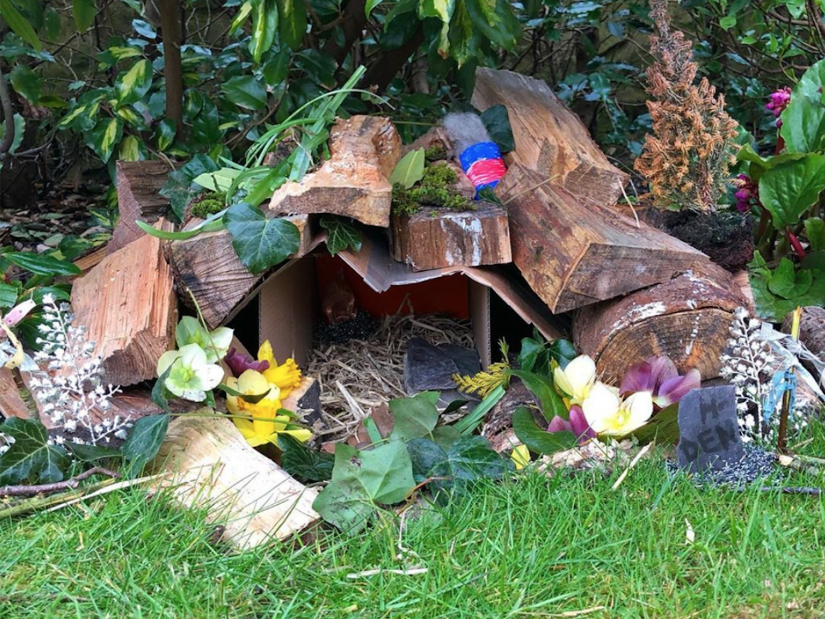 The Best of the Mini Dens - Thornbridge Outdoors