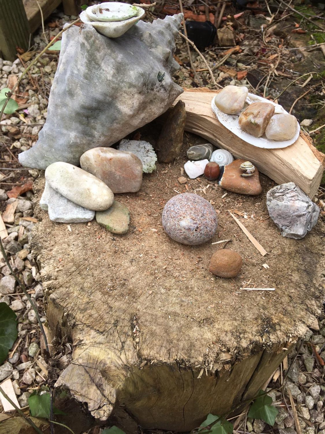 The Best of the Mini Dens - Thornbridge Outdoors